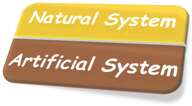 2 Major Types of Systems | Natural System vs Artificial System | Board ...
